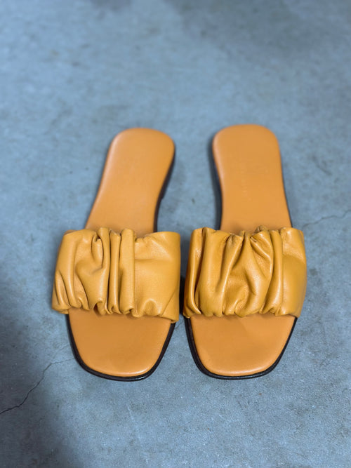 Sale – Coco Shoes Tasmania